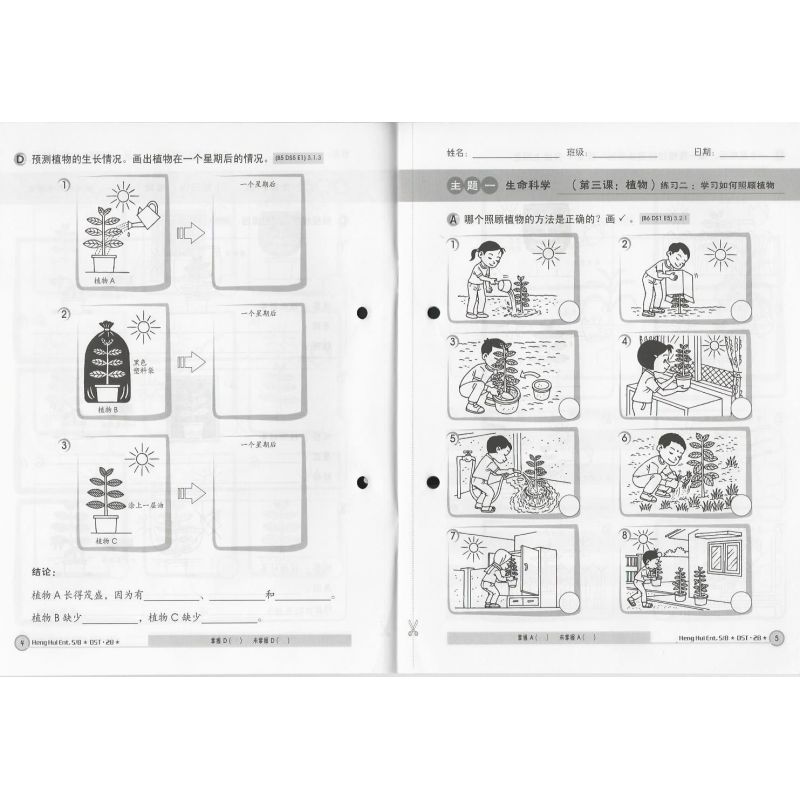校本评估活页本系列 科学与工艺世界2B