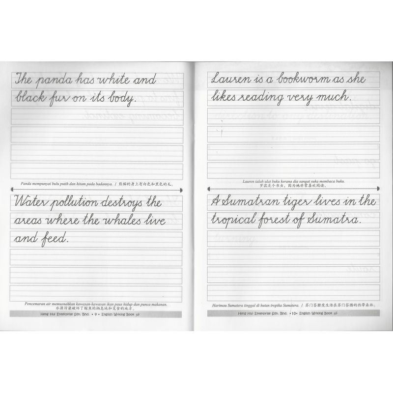 In-Depth English Writing Book 5B