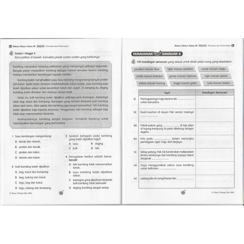 焦点单元备考 国文4B