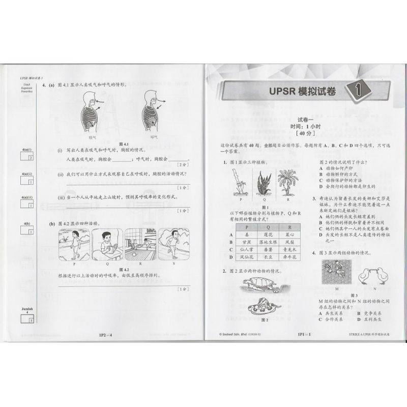 Strike A 模拟试卷 UPSR SJKC 科学
